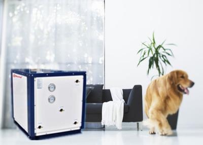 China Swimming Pool Water To Water Heat Pump for sale