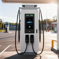 China 240kW Dual Gun DC Fast Charging Station for Commercial Solar Power Projects GRD08 240SDE for sale