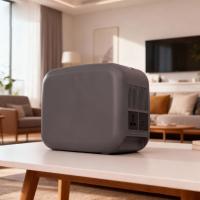 China Compact 1kWh Home Solar Generator with LiFePO4 Battery and 300W AC Output for sale