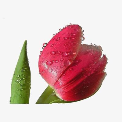China Super Wetting Agent SURFADOL® 607 CAS 169117-72-0 Alternative To Dynol 607 for sale