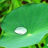 China Surfactant And Molecular Defoamer SURFADOL ® 541E For Waterborne Coatings for sale