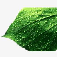 China SURFADOL® DF-75 Acetylenic Diols Defoamer For Waterborne Coatings for sale