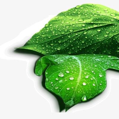 China APEO Free Non Ionic Wetting Agent SURFADOL ® 541H Surfactant CAS 126-86-3 for sale