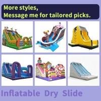 China Commercial 2 Lane Inflatable Dry Slide, 0.55mm PVC Racing Slide for Kids & Adults for sale