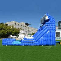 China Commercial Grade Inflatable Dolphin Water Slide Dual Lane with Splash Pool for Party Rental for sale