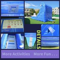 China Commercial Grade Inflatable Dolphin Water Slide Dual Lane with Splash Pool for Party Rental for sale