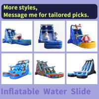 China Commercial Grade Inflatable Dolphin Water Slide Dual Lane with Splash Pool for Party Rental for sale