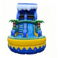 China Commercial Grade Tropical Inflatable Water Slide with Pool Spider Hero Theme Party Rental Dry Slide Heavy Duty PVC for sale
