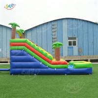 China Tropical Palm Tree Inflatable Slide With Splash Pool Summer Party Rental Commercial Grade Inflatable Water Slide（YKW101) for sale
