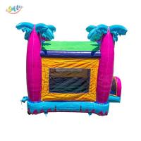 China Teal Rippling Rush Bouncer Tropical Inflatable Castle with Enclosed Bounce Area for Birthday Parties and Outdoor Events for sale
