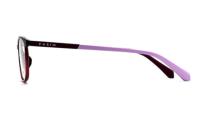 China Silicone Temple Plastic Wayfarer Optical Glasses Frames Antiskid For Women for sale