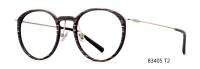 China Parim Plastic Big Round Glasses Frames With Metal Temple for sale