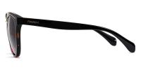 China TAC Plastic Colored Sunglasses , Black Brown Plastic Aviator Sunglasses Metal Frames for sale