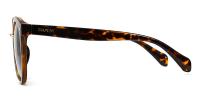 China Classical TAC Plastic Polarized Sunglasses Unisex Women Men Black Brown for sale