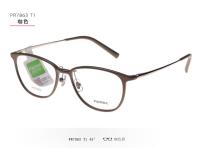 China Plastic Lightweight Eyeglass Frames / Unisex Wayfarer Eyeglasses Metal Frames for sale