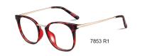 China Plastic Flexible Optical Glasses Frames Metal Temple Square Eyeglasses Frames for sale