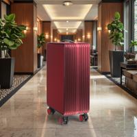 China Front Opening Travel Luggage Suitcase Modern Aluminum Smart Spinner Hard Side Luggage for sale