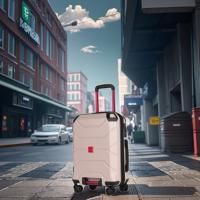 China Hanging Hook  Pp Material Luggage Outdoor Airport Tsa Carry On Luggage for sale