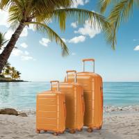 China Luxury Polypropylene Luggage Bags Zipper Closure Vintage Tsa Lock Suitcase 20in for sale