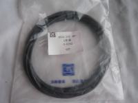 China SP100079 ZF.0634313487 O-Ring 112x3mm FPM Seal for 4WG200 Transmission Parts for sale