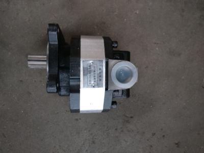 China LGMC Hydraulic System 35 Gear Pump Spline Left-Handed for 06 Mini Wheel Loader - 3-5 Day Delivery for sale