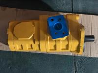 China 11C0014 Gear Pump for Liugong CLG842 CLG856 Wheel Loader - 40.52 kg Hydraulic Pump with 500×320×220 mm Dimensions for sale