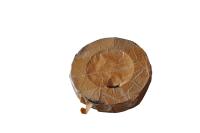 China 55A0338 Bushing 1.69kg Wheel Loader Spare Parts for Liugong for sale