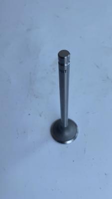 China 490 Exhaust Valve for 3 Ton Wheel Forklift Spare Parts 0.2kg for sale