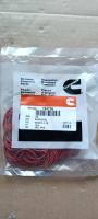 China Excavator NTA855 SD32 Injector O Ring 193736 Power System Part for sale