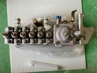 China LGMC Bomag Fuel Injection Pump Sub-Assembly 4110001948049 for Road Roller Equipment for sale