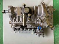 China LGMC Bomag Fuel Injection Pump Sub-Assembly 4110001948049 for Road Roller Equipment for sale