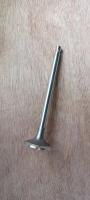 China LGMC C5307875 Diesel Engine Intake Valve 100% Original Spare Parts for Liugong for sale