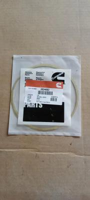 China 3034663 Gasket.008 Diesel Engine Spare Parts Composite Galvanized Seal Washer 3 Months Warranty for sale