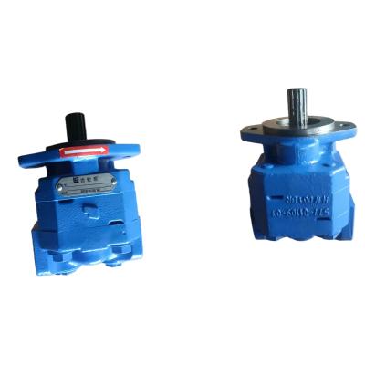 China 13C0291 Gear Pump for Liugong Wheel Loader CLG855N CLG856N CLG852 ZL50D ZL50E CLG842 OEM Quality for sale
