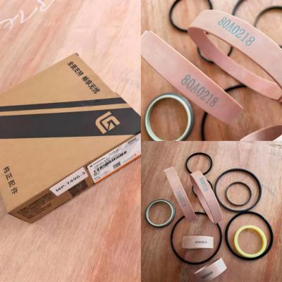China SP176186 Boom Cylinder Seal Kit For LIUGONG Wheel Loader CLG870H、CLG888、CLG877、CLG862H/CLG862HE、CLG890H for sale