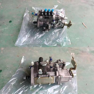 China Quanchai BH4QT95R9 Fuel Injection Pump For Engine Assy 4L88、4105G、Y4105D、4102GB‑110007 for sale