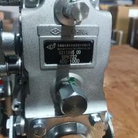 China 5311945 Fuel Injection Pump For Wheel Loader CLG856H、CLG860H、LW500FV、L955F for sale