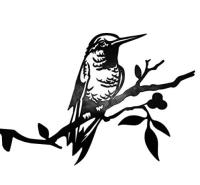China Polishing Deburring Stainless Steel Laser Cut Metal Birds Chicken Stamping for sale