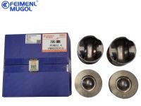 China Piston for Ford Transit V348, Land Rover Puma2.4, Diesel Engine Parts for sale