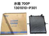 China Feimenl Mugol Radiator Assembly ISUZU NPR NQR 4HK1,1301010-P301 for sale