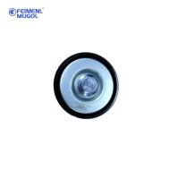 China Genuine Alternator Belt Tensioner Pulley for Ford Transit / TeShun – OEM Quality for sale
