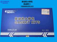 China 1000002DLXX OEM Standard Engine Overhaul Kit – Reliable Solution for Euro 2 Diesel Engines for sale