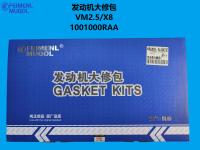 China 1001000RAA Complete Engine Overhaul Solution – Designed for VM 2.5 Diesel / JMC X8 for sale