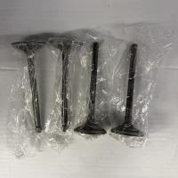 China Cost-Effective 8-971317292 OEM Replacement Intake Valve for ISUZU 600P 4KH1 engine. for sale
