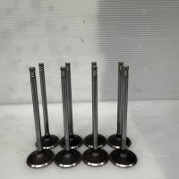 China High-Strength 1003101RAA Intake Valve for VM425 & VM428 & Landwind X8 4D25 engine, Superior Wear and Heat Resistance. for sale