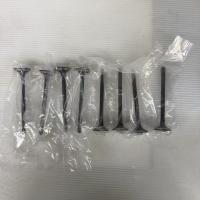 China Professional Aftermarket Exhaust Valve 1007012-ED01 for Great Wall 4D20D & 4D20B Engines, Ideal for Engine Rebuilding and Repair. for sale