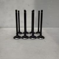 China Professional Aftermarket Exhaust Valve 1007012-ED01 for Great Wall 4D20D & 4D20B Engines, Ideal for Engine Rebuilding and Repair. for sale