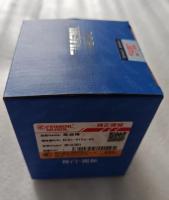 China Heavy Duty Paper Fuel Filter ELN1-9156-AA Designed for Clean Diesel Delivery for JMC Shunda Euro 5 for sale