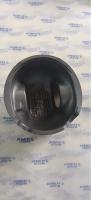 China Genuine Quality 1004060KNA Piston For ISUZU D-Max & Ruimai JE493ZLQ6 Euro 6 Diesel Engine for sale