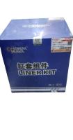 China Professional Cylinder Liner Kit 0602-010501-005 For ISUZU 600P Euro 4 Diesel Engine. for sale